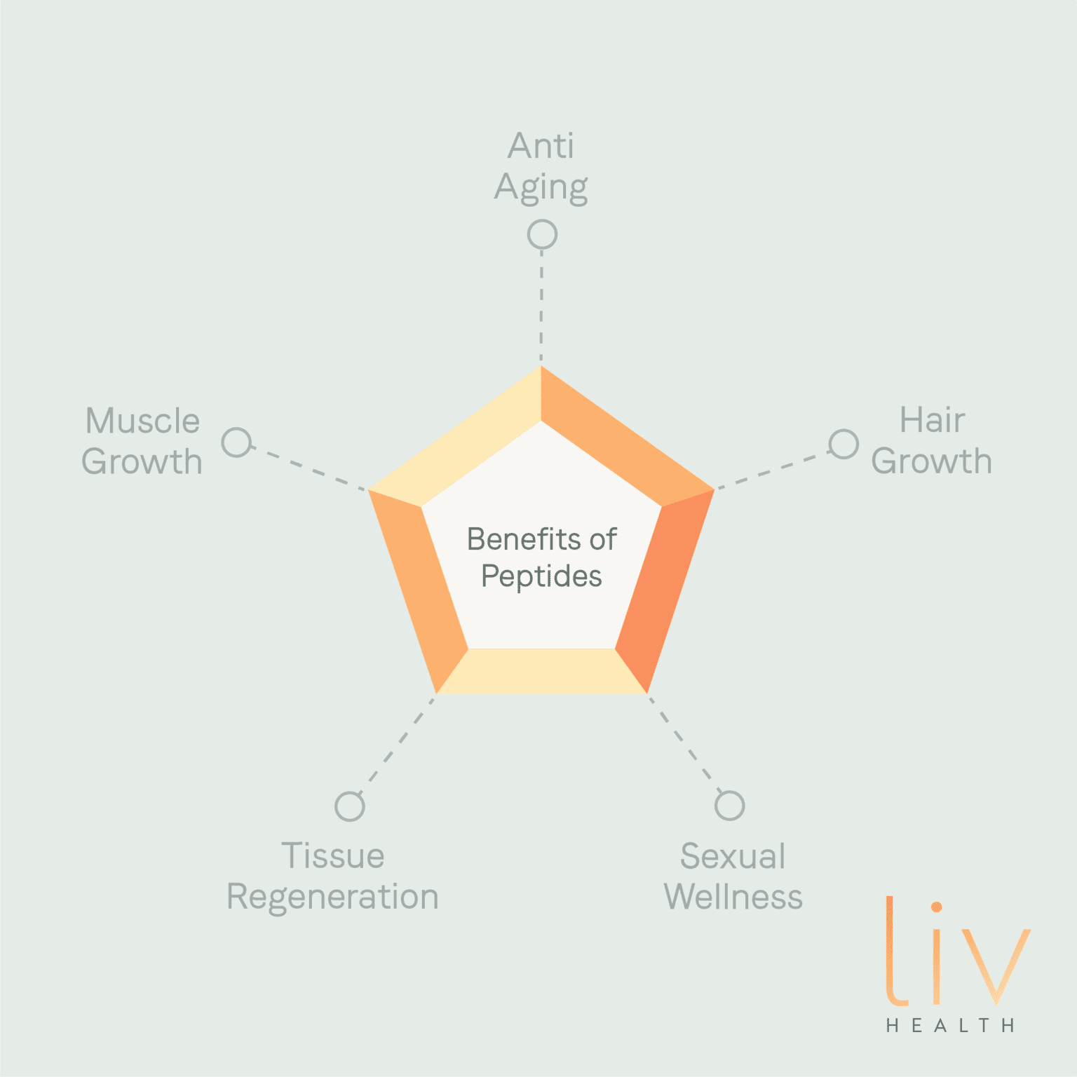 What Are Peptides And How Do They Work? – Liv HEALTH